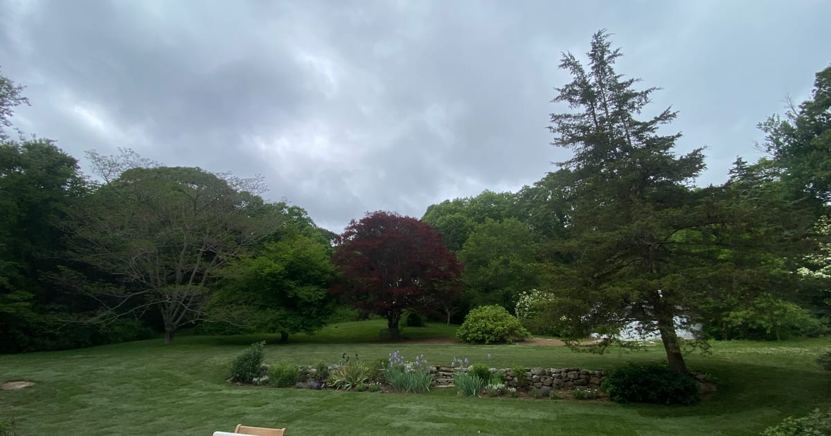 Westbrook CT Sod Install | 6,000 SqFt Done in a Week